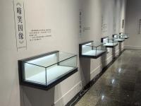 China Dust-Proof Transparent Glass Wall Hanging Museum Display Cabinet for Cultural Relic Exhibition for sale