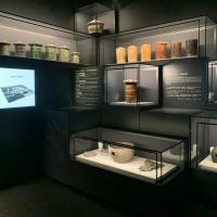 China Stylish Heavy Duty Museum Display Showcase with Security Lock Glass Doors LED Lighting Eco-Friendly Design for Historical Relics for sale