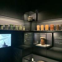 China Stylish Heavy Duty Museum Display Showcase with Security Lock Glass Doors LED Lighting Eco-Friendly Design for Historical Relics for sale