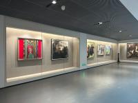 China Customized Exhibition Case Eco Friendly Aluminum Rare Artifacts Museum Display Supplies for sale