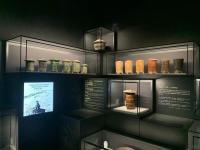 China Baking Paint Museum Standard Display Cases Customization Museum Glass Cabinets for sale