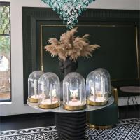 China Modern LED-Lit Eco-Friendly Jewelry Display Cabinet and Custom Display Showcase for High-End Jewelry Shop Interior Design for sale