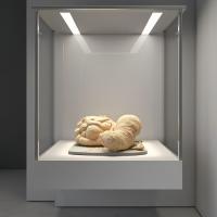 China BX  Wall Mounted Museum Display Case for Small Artworks & Historical Relics for sale