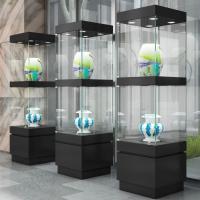 China Modern Wall-Mounted Display Case for Art & Historical Objects for sale
