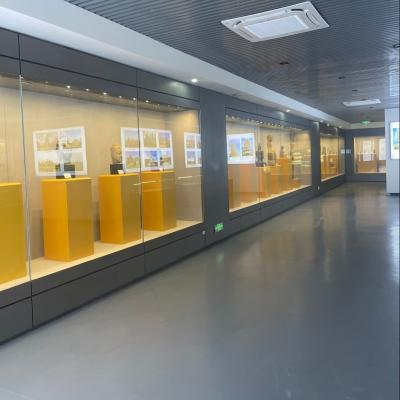 China BX Premium Museum Wall Display Case for Precious Art & Cultural Relics for sale