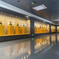 China BX Premium Museum Wall Display Case for Precious Art & Cultural Relics for sale