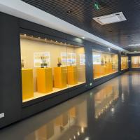 China BX Premium Museum Wall Display Case for Precious Art & Cultural Relics for sale