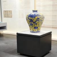 China Custom Modern Luxury Museum Display Case with Tempered Glass for sale