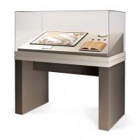 China BX 2026  New Design Museum-grade Customized Anti-reflective Glass Display Case for Relic Exhibition for sale