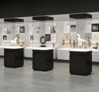 China Professional Museum Display Cabinet with Adjustable Lighting for sale