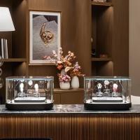 China Luxury Watch Display Cabinet High-End Retail Store Glass Watch Showcase with LED Lighting for sale