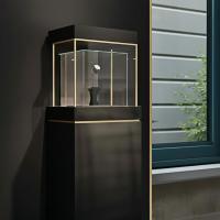 China Factory Wholesale Watch Display Showcase Wood & Glass Watch Counter with LED Lighting System for sale