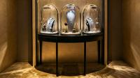 China Triple Dome Jewelry Display Stand with Dustproof LED Spotlight for High Jewelry for sale