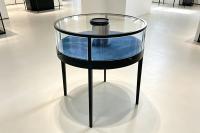 China Matte Black Counter Jewellery Blue Ambient Light Black Jewelry Display Stands for sale