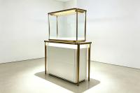 China Tall Vertical Jewelry Display Cabinet Gold Storage Base Countertop Jewelry Display for sale