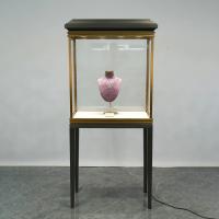 China Tall Jewelry Showcase Cabinet Two Tone Custom Jewelry Showcases Gold Black for sale