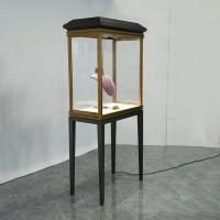 China Tall Jewelry Showcase Cabinet Two Tone Custom Jewelry Showcases Gold Black for sale