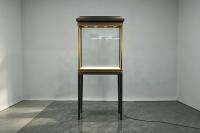 China Tall Jewelry Showcase Cabinet Two Tone Custom Jewelry Showcases Gold Black for sale
