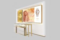 China Dustproof Wall Display Cases Anti Rust Luxury Retail Commercial Watch Display Case for sale