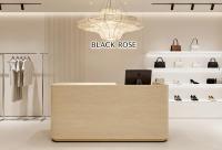 China Natural Wood Minimal Women Clothing Store Interior Design | Neutral Ladies Garment Full Shop Layout for sale
