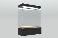 China Vertical Wall Mount Museum Display Showcase UV Blocking Custom Museum Display Cases for sale