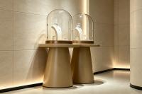 China Dome Glass Jewelry Display Showcase with 360° Unobstructed Viewing LED Spotlights and Lockable Storage for sale