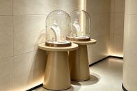 China Dome Glass Jewelry Display Showcase with 360° Unobstructed Viewing LED Spotlights and Lockable Storage for sale
