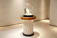 China Dome Glass Rotating Jewelry Pedestal Showcase with 360° Rotating Display and Ambient LED Lighting for sale