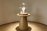 China Dome Glass Jewelry Display Showcase with 360° Unobstructed Viewing LED Spotlights and Lockable Storage for sale