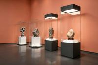 China Custom Museum Grade Glass Pedestal Vitrine with Freestanding Tall Design and Built-in LED Lighting for sale