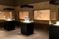 China Modular Freestanding Museum Glass Box Display Exhibitions Quality Cases for sale