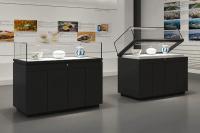 China Anti-Glare Low-Iron Glass Museum Exhibit Cabinet with Lift-Open Lid and Multiple Base Options for sale