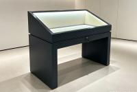 China Slanted Reading Vitrine with Anti-Glare Low-Iron Glass and Customizable LED Lighting for Ergonomic Viewing for sale