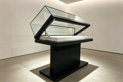 China Museum Table Vitrine with Gas-Strut Lift-Up Mechanism and Anti-Glare Low-Iron Glass for Soft Fabric-Lined Display for sale