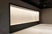 China Seamless Anti-Glare Glass Museum Exhibit Cabinet With Concealed LED Lighting And Fabric Back Panel for sale