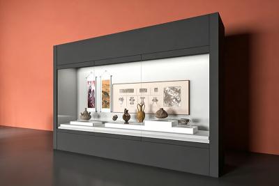 China Custom Sealed Dust-Proof Museum Wall Display Case with Anti-UV Low-Iron Glass and Adjustable LED Lighting for sale