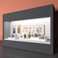 China Custom Sealed Dust-Proof Museum Wall Display Case with Anti-UV Low-Iron Glass and Adjustable LED Lighting for sale