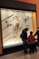 China Sealed Anti-UV Glass Museum Specimen Vitrine with Modular Splicing Structure and Customizable Back Panel for sale