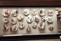 China Sealed Anti-UV Glass Museum Specimen Vitrine with Modular Splicing Structure and Customizable Back Panel for sale