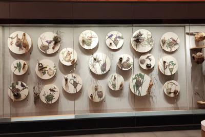China Sealed Anti-UV Glass Museum Specimen Vitrine with Modular Splicing Structure and Customizable Back Panel for sale