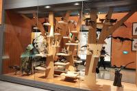 China Sealed Anti-UV Glass Museum Specimen Vitrine with Modular Splicing Structure and Customizable Back Panel for sale
