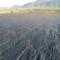 China Woven Geotextile Fabric for Weed Control | Durable Ground Cover & Landscaping Fabric for sale