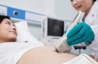 China MDR Probe Covers Disposable Sterile Approval Ultrasound Transducer General Purpose ISO 13485 for sale