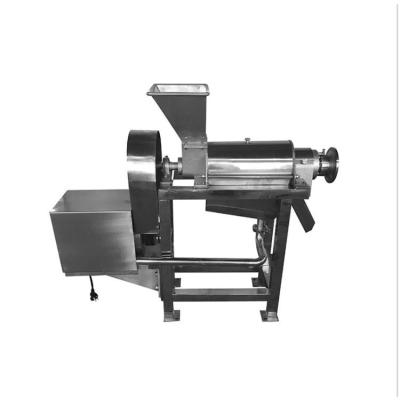 China Automatic Apple Juicer Machine 100kg per Hour Commercial Juice Extractor 304 Stainless Steel for sale