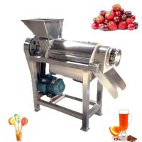 China Commercial Screw Juicer Machine 304 Stainless Steel 380V 3 Phase Fruit Vegetable Processing for sale