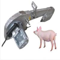 China Pig Carcass Splitting Band Saw 380V 2.2kw for Abattoir Slaughterhouse Equipment for sale