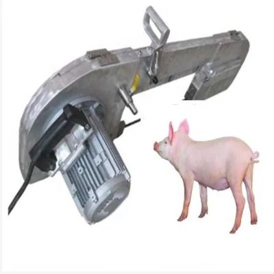 China Pig Carcass Splitting Band Saw 380V 2.2kw for Abattoir Slaughterhouse Equipment for sale