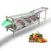 China Stainless Steel Macadamia Nut Roasting Machine Fruit Sorting Grading Machine 2t/h 220v for sale