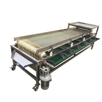China Industrial Olive Fruit Sorting Machine 1.5kw 220v Stainless Steel Size Grader for sale