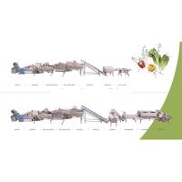 China 100kg/H Industrial Grade Fresh Vegetable Washing And Drying Machine SS304 for sale